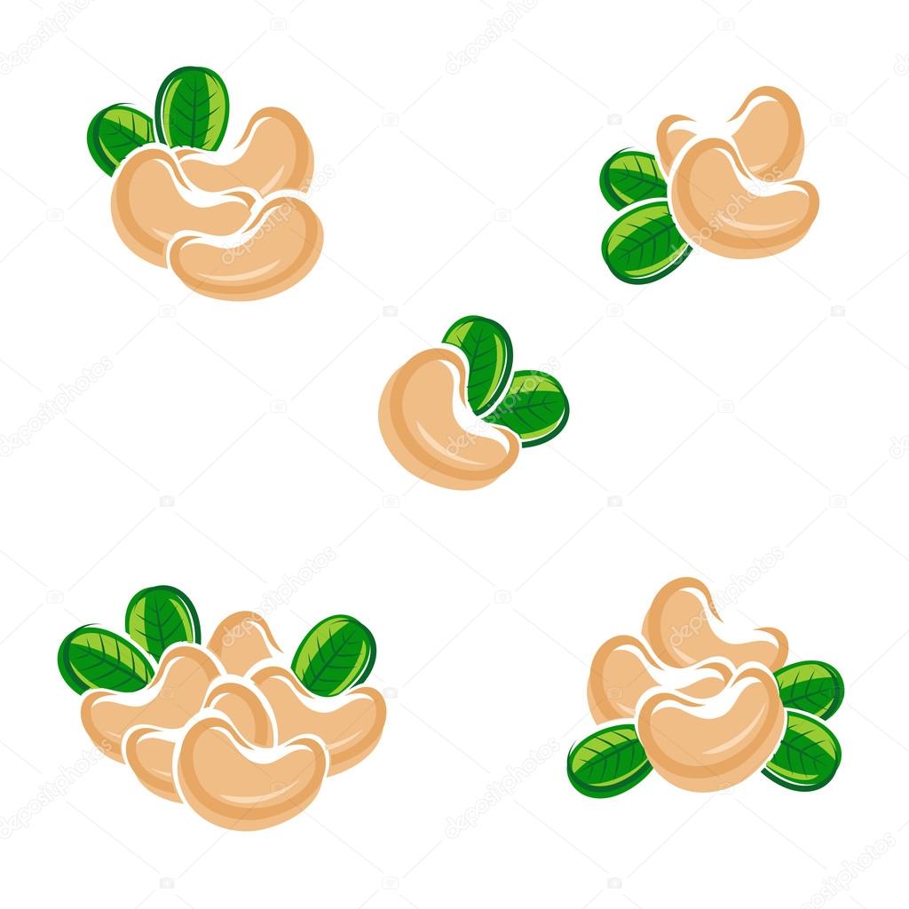 Cashew nuts set. Vector Stock Vector by ©Vasilev_Ki 89263238
