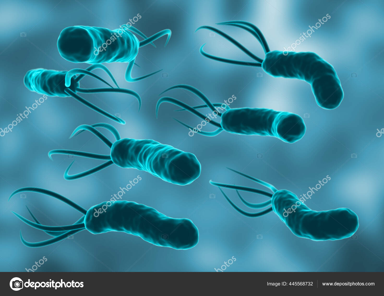 Helicobacter Pylori Microscopic Environment Bacterium Colonizes Lining ...