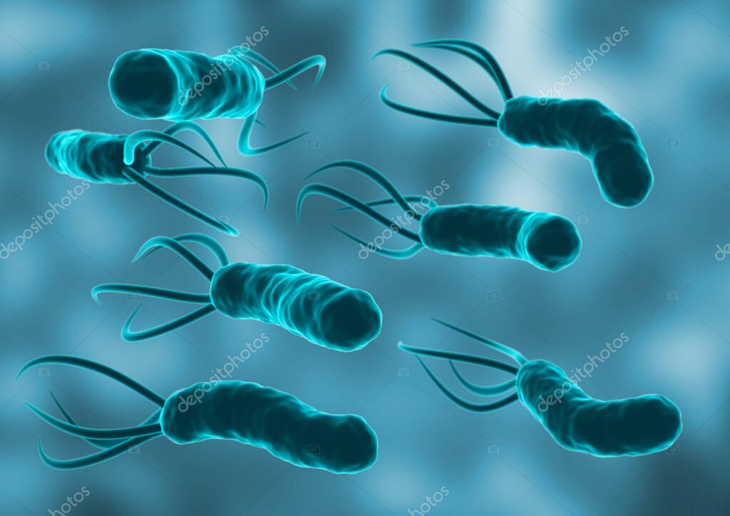Helicobacter Pylori en el ambiente microscópico. es una bacteria que ...