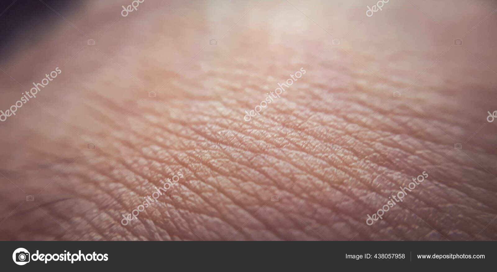 Dermatoogy Background Health Human Skin Stock Photo by ©photo_pw 438057958
