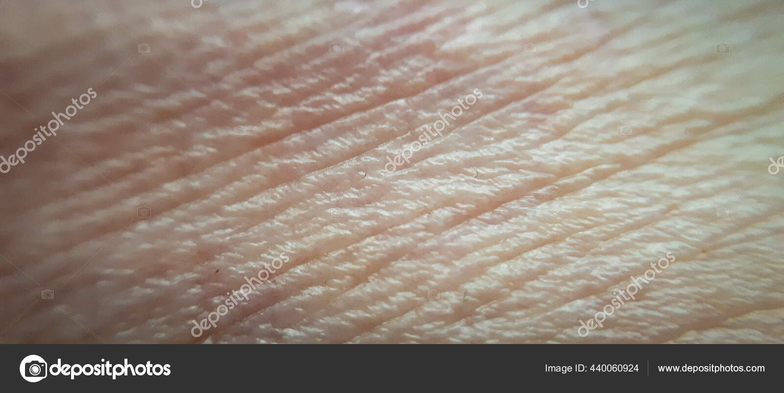 Super Macro Human Skin Caucasian Healthy Natural Skin Skin Background ...