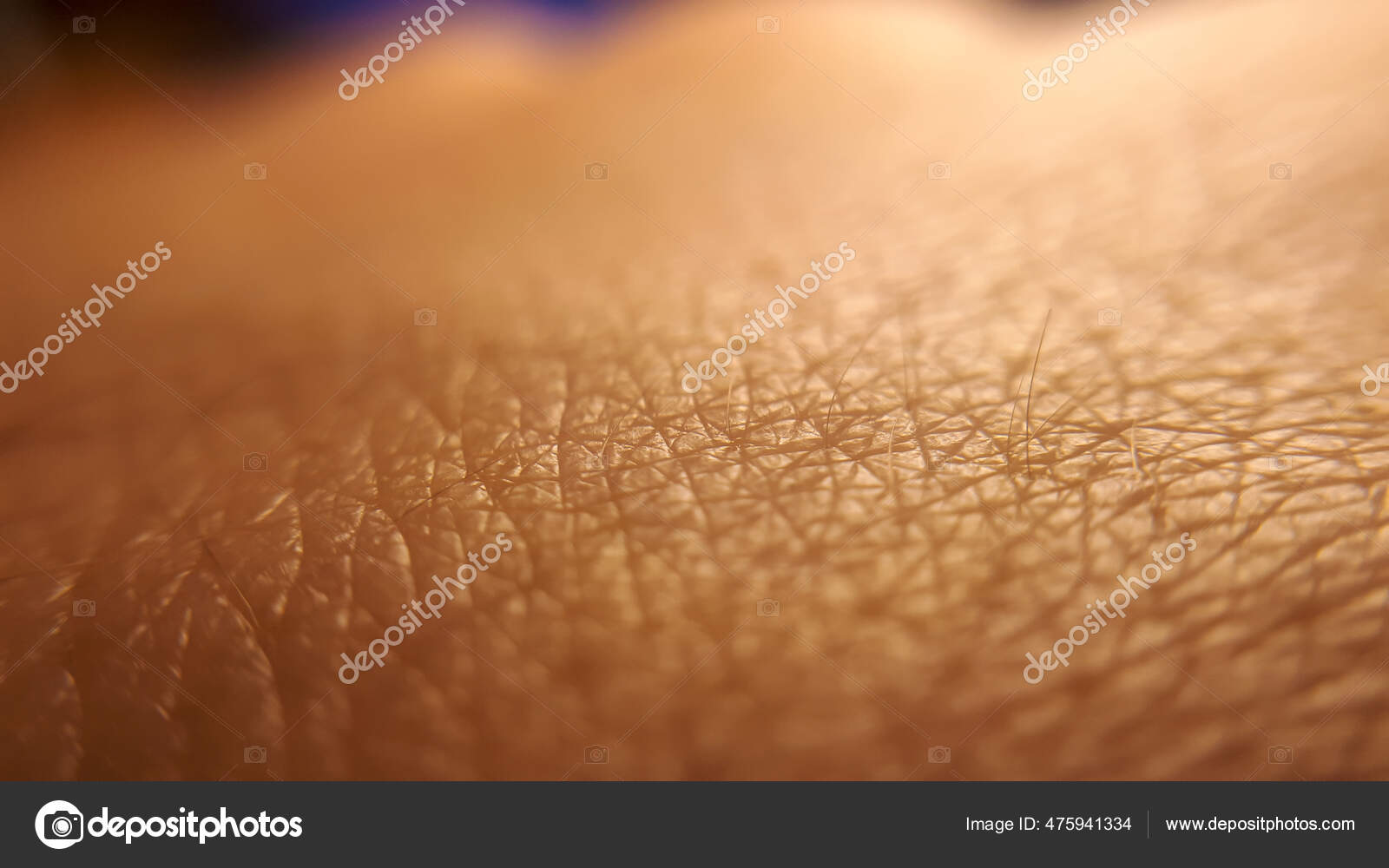 Macro Human Skin Texture Woman Girl Skin Dermatology Pattern Healthy ...