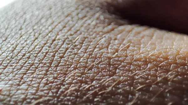 HUMAN SKIN TEXTURE Images - Search Images on Everypixel