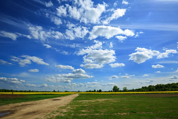 ᐈ Polish landscape stock photos, Royalty Free polish landscape images ...