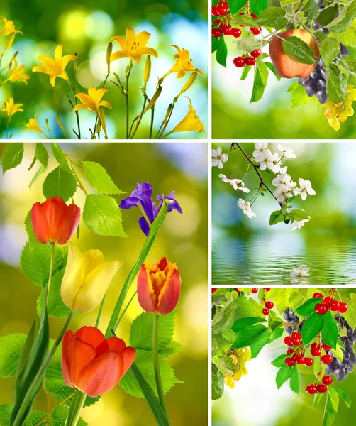 Beautiful nature collage fotos de stock, imágenes de Beautiful nature ...