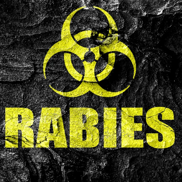 For rabies Stock Photos, Royalty Free For rabies Images | Depositphotos