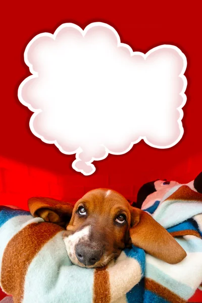 1,642 ilustraciones de stock de Perro pensando | Depositphotos