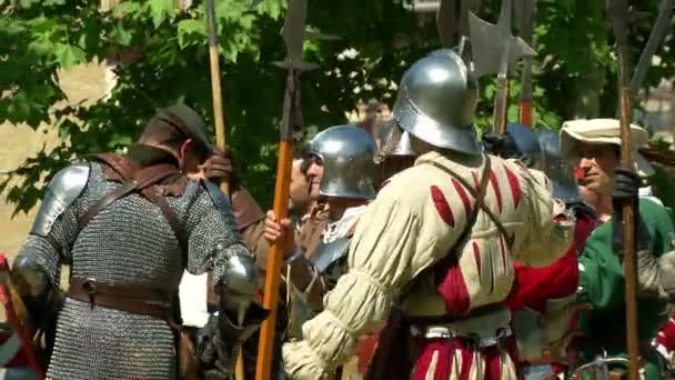 211 Noble knight Videos, Royalty-free Stock Noble knight Footage ...