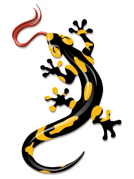 Salamander icon Stock Vectors, Royalty Free Salamander icon ...