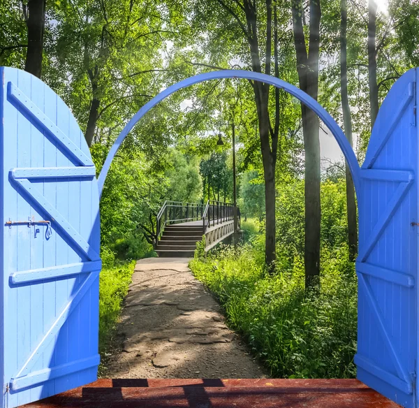 Open access Images - Search Images on Everypixel