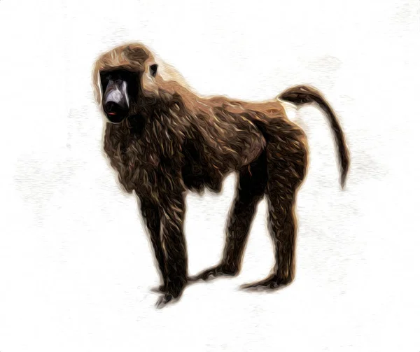 Dead monkey Stock Photos, Royalty Free Dead monkey Images | Depositphotos