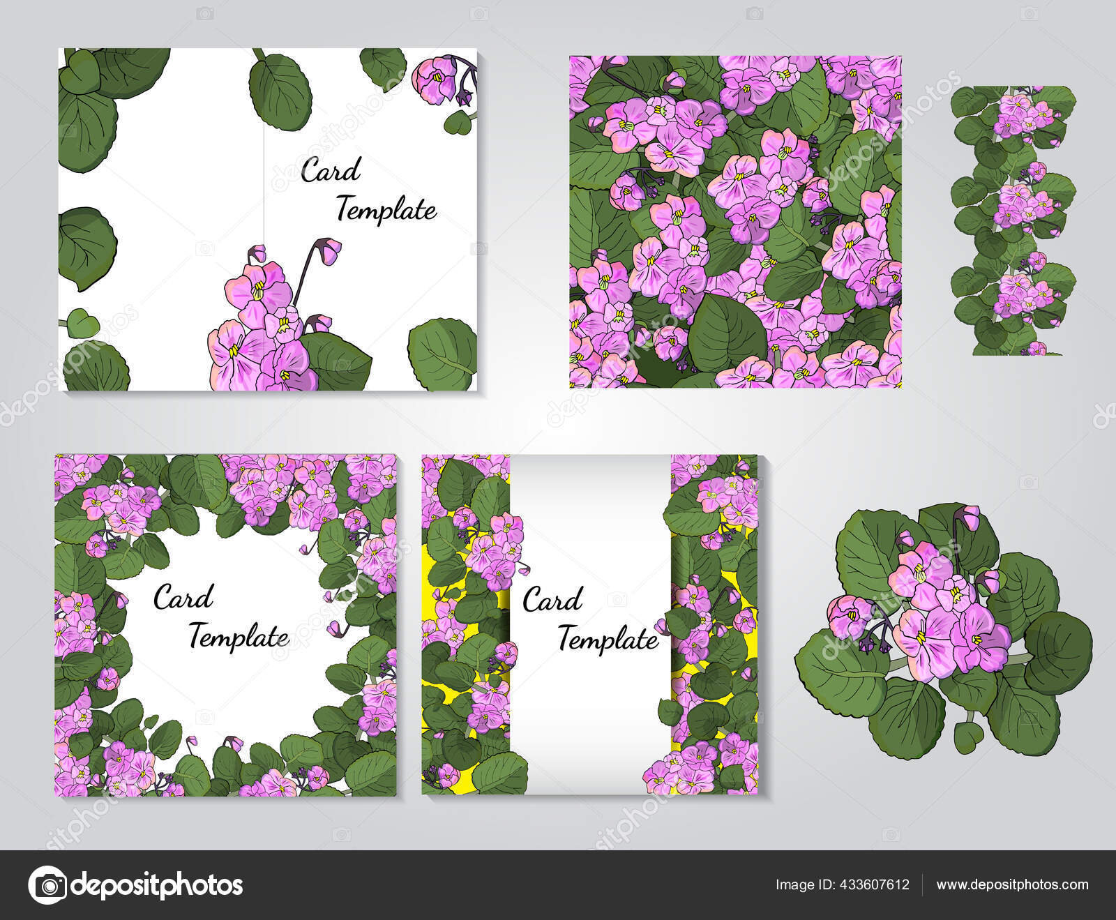 Vector Set Flowering African Violets Flowers Different Colors Isolated ...
