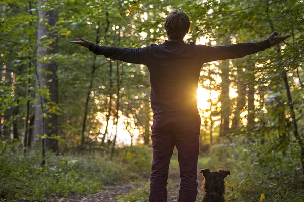 Man in front of sun rising through trees of forest - Stock Image ...