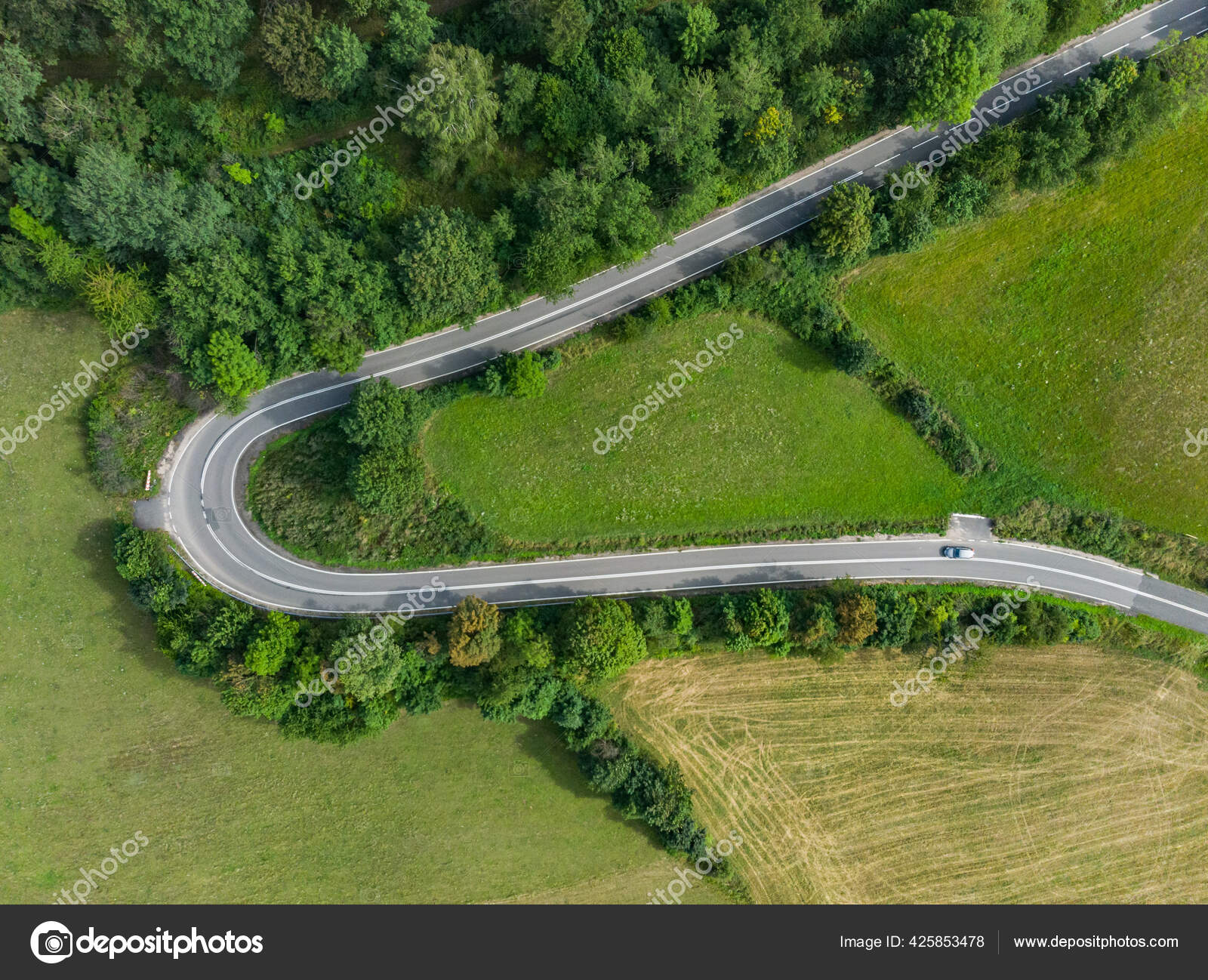 Curved Road Top View