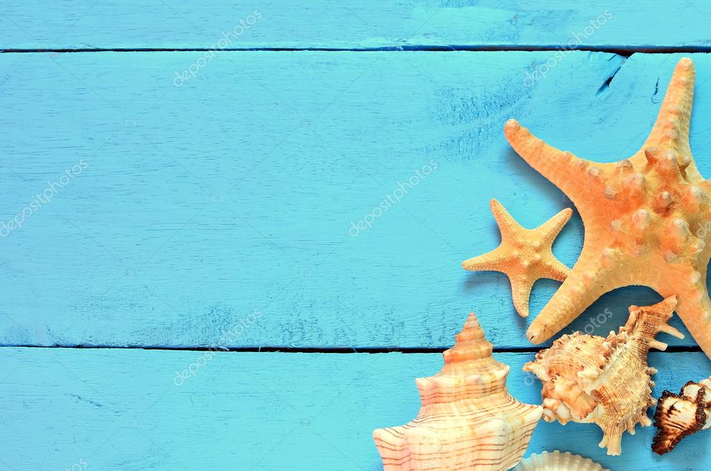 Seashell And Fish Wallpaper