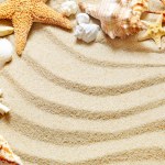 Sea shells with sand as background Stock Photo by ©smaglov 7676864
