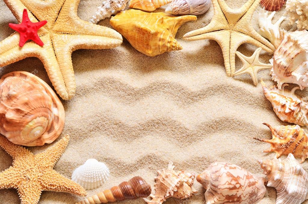 Seashells on sand beach Stock Photo by ©Catwoman10 82641552