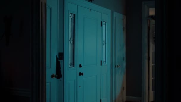 3,131 Shadow figure Videos, Royalty-free Stock Shadow figure Footage ...