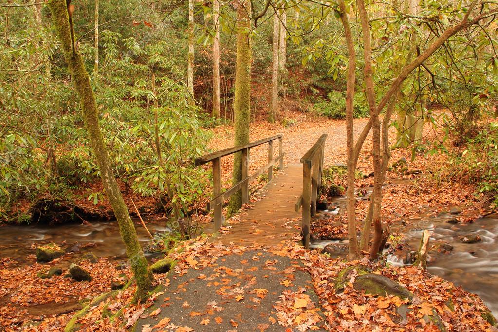 Great Smokey Mountains National Park Stock Photo by ©Wilsilver77 94994674