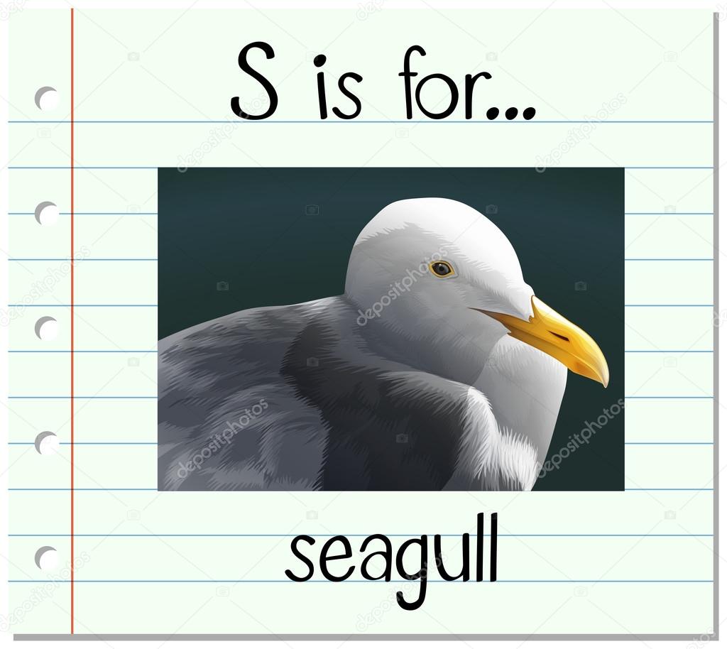 Flashcard alphabet S is for seagull Stock Vector Image by ...