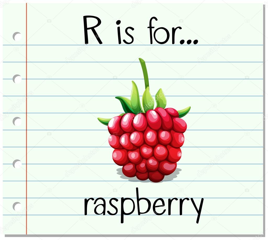 Flashcard letter R is for raspberry Stock Vector by ©blueringmedia ...