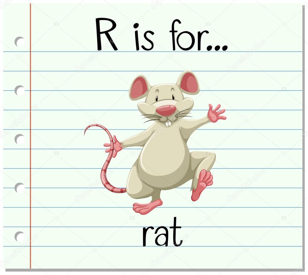 La letra R de la tarjeta es para rata Vector de stock por ...