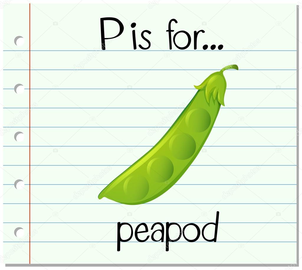 Flashcard letter P is for peapod Stock Vector Image by ©blueringmedia ...