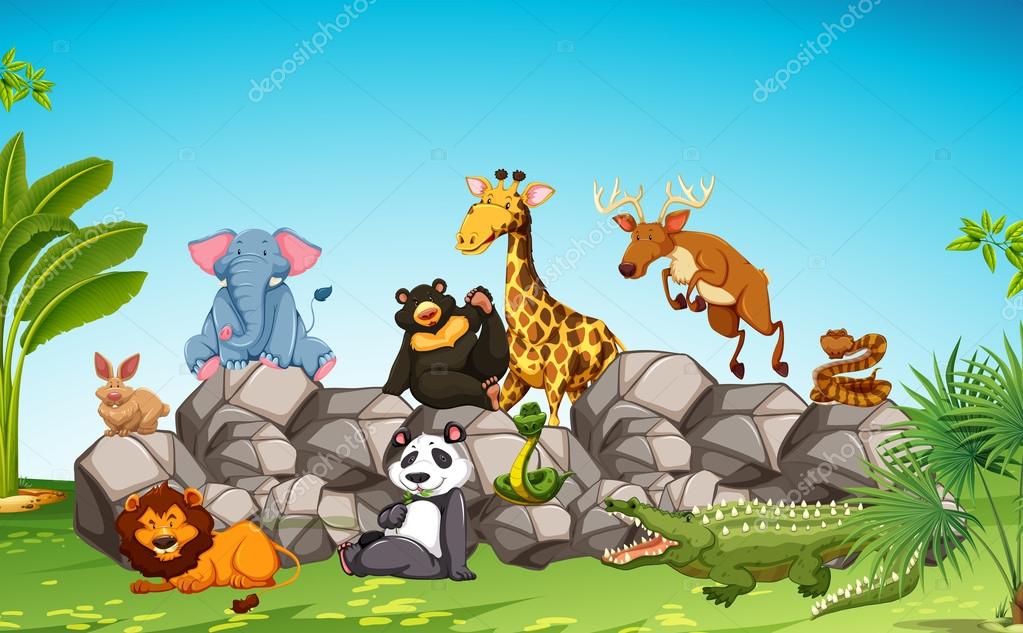 Animales salvajes sentados en la roca Vector de stock #107458126 de ...