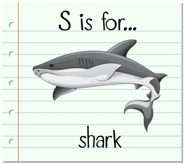 Flashcard alphabet S is for salmon Stock Vector by ©blueringmedia 108489804