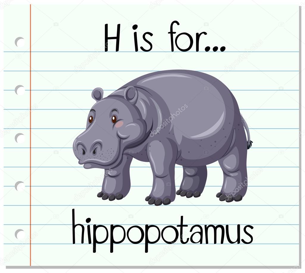 Flashcard letter H is for hippopotamus ⬇ Vector Image by ...