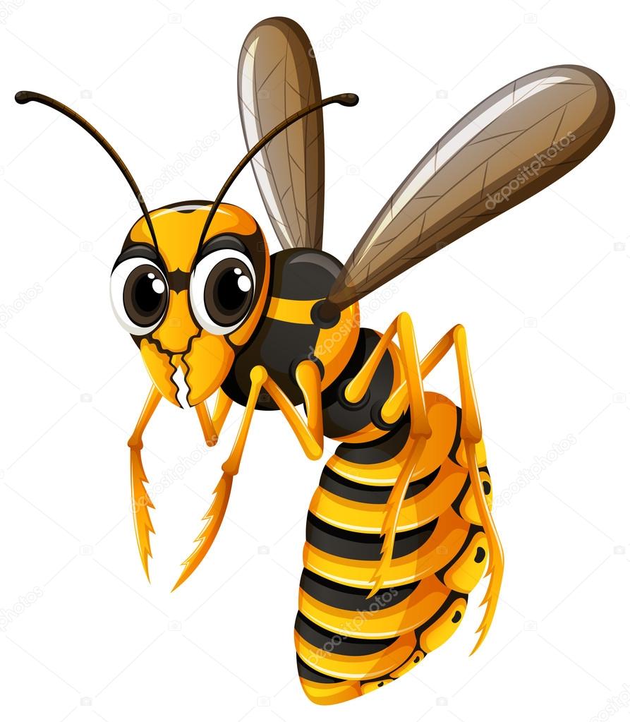 WASP літати на білому фоні — Стоковий вектор — зображення ...