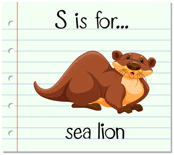 Flashcard letter W is for walrus Stock Vector Image by ©blueringmedia ...