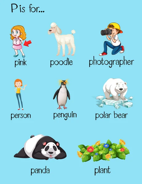 Muchas palabras comienzan con la letra P 2024