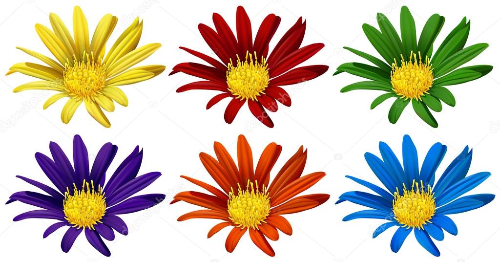 Flowers in six different colors Stock Vector Image by ©blueringmedia ...