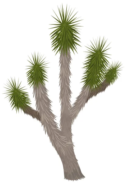 Joshua tree drawing Vector Art Stock Images | Depositphotos