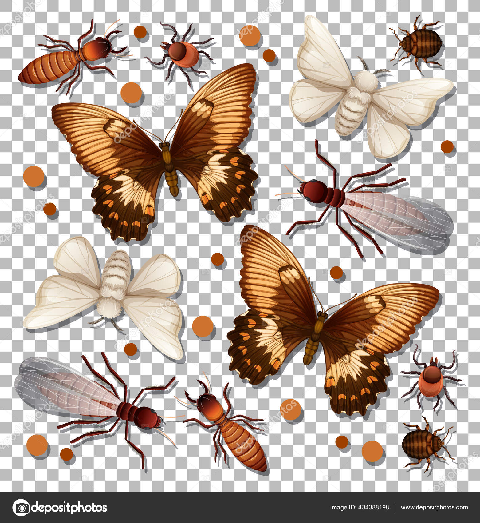 Set Different Insects Transparent Background Illustration Stock Vector ...