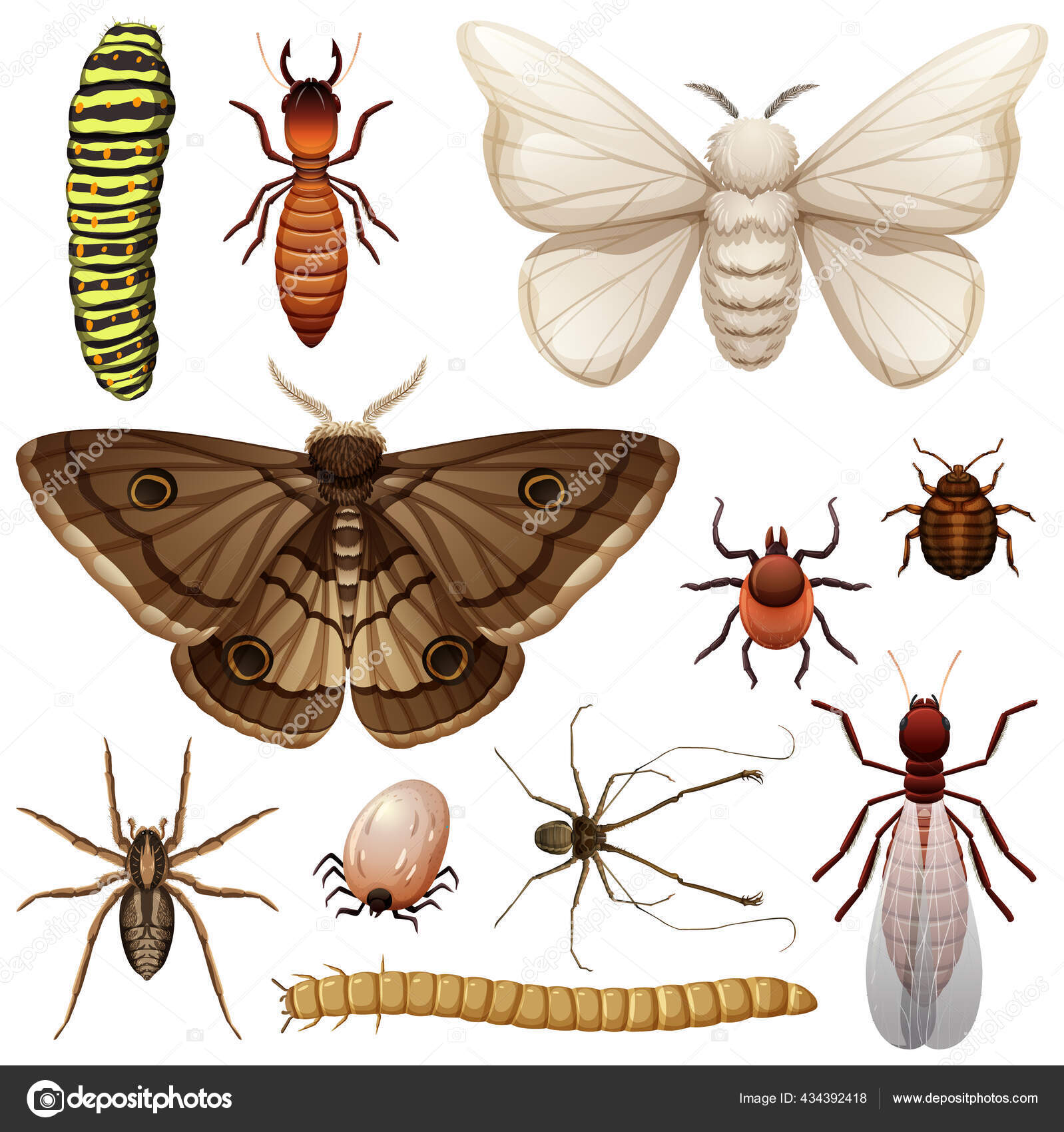 Set Different Insects White Background Illustration Stock Vector by ...