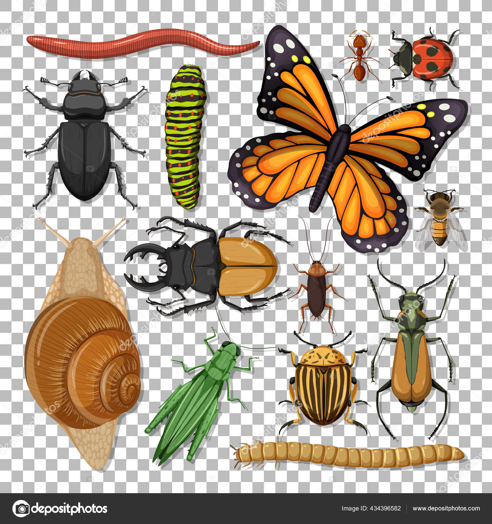 Set Different Insects Transparent Background Illustration Stock Vector ...