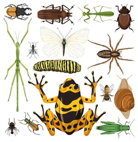 7,134 Insects background Stock Illustrations | Depositphotos