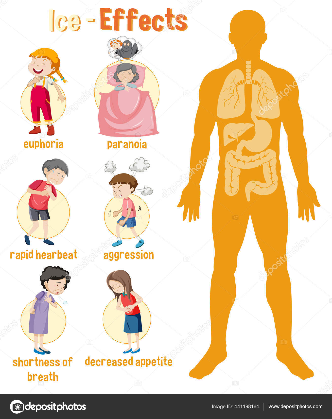 Health Effects Ice Crystal Meth Infographic Illustration Stock Vector ...