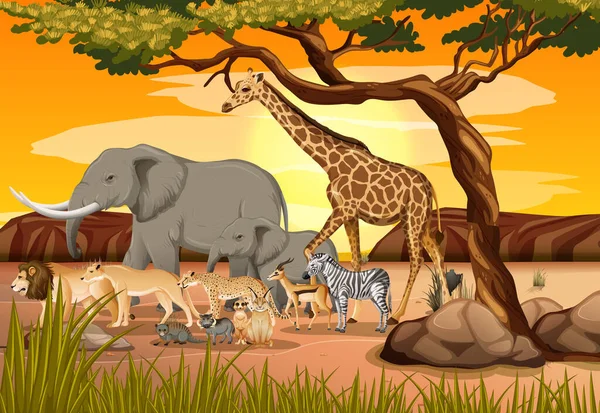 Safari Stock Photos, Royalty Free Safari Images | Depositphotos