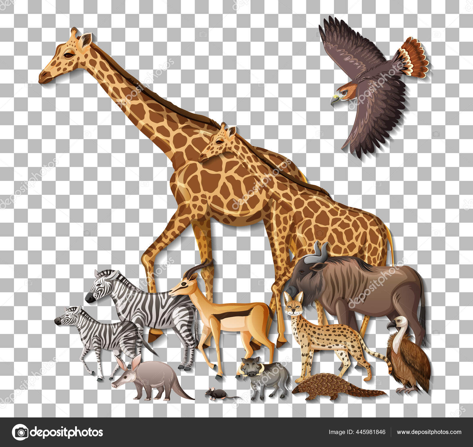 Group Wild African Animals Transparent Background Illustration Stock ...
