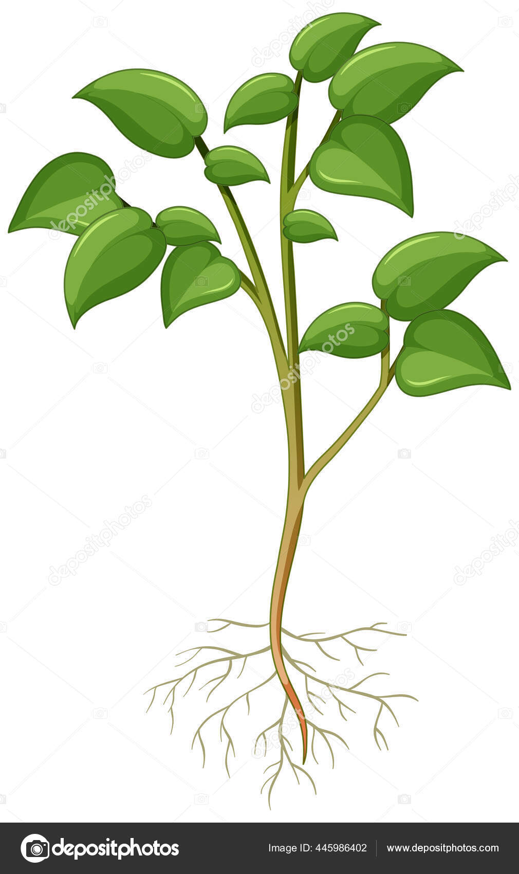 Plant Root Clip Art