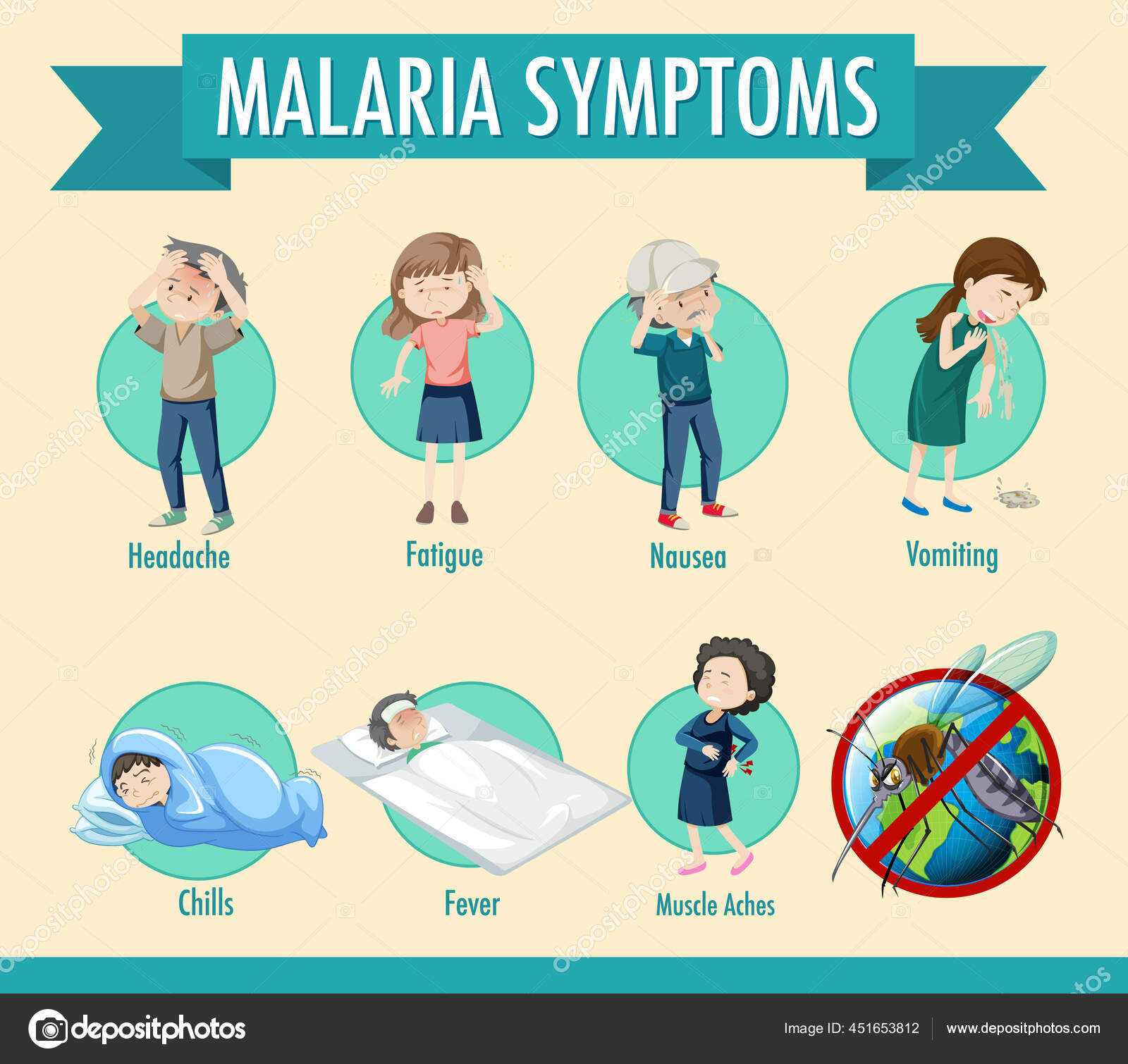 Cycle Transmission Paludisme Information Sur Les Symptômes Illustration Infographique image ...