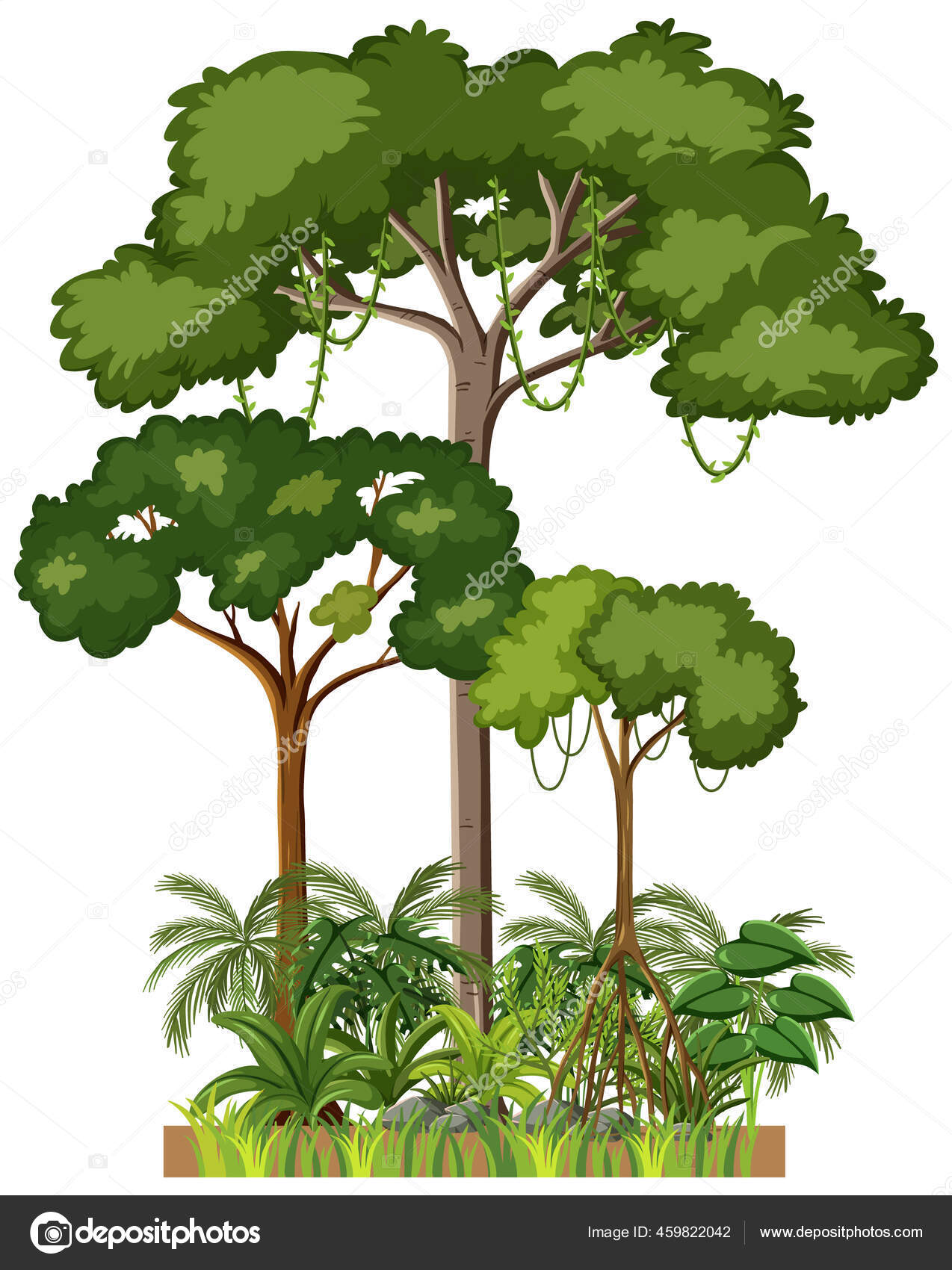 Imágenes Prediseñadas De Plantas Y árboles De La Selva Tropical