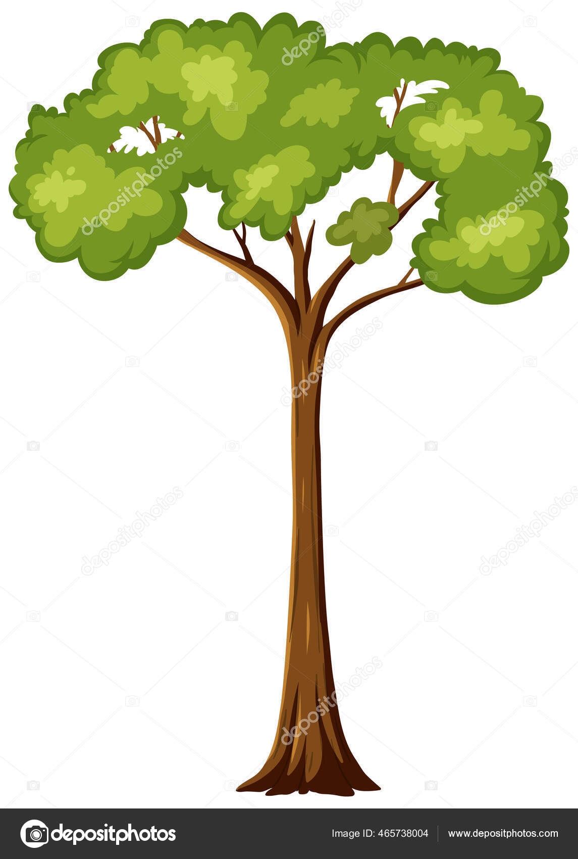 Rainforest Tree Clipart