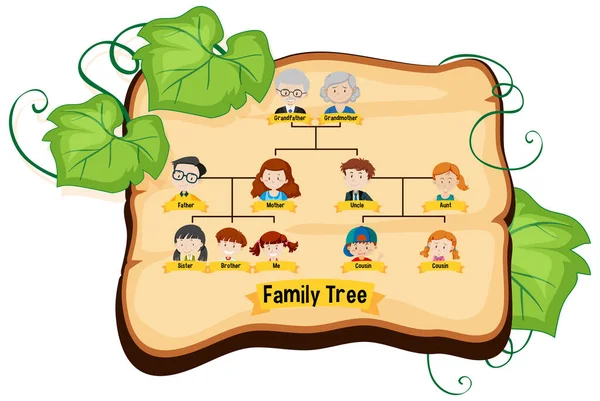 100,000 Family tree complex Vector Images | Depositphotos