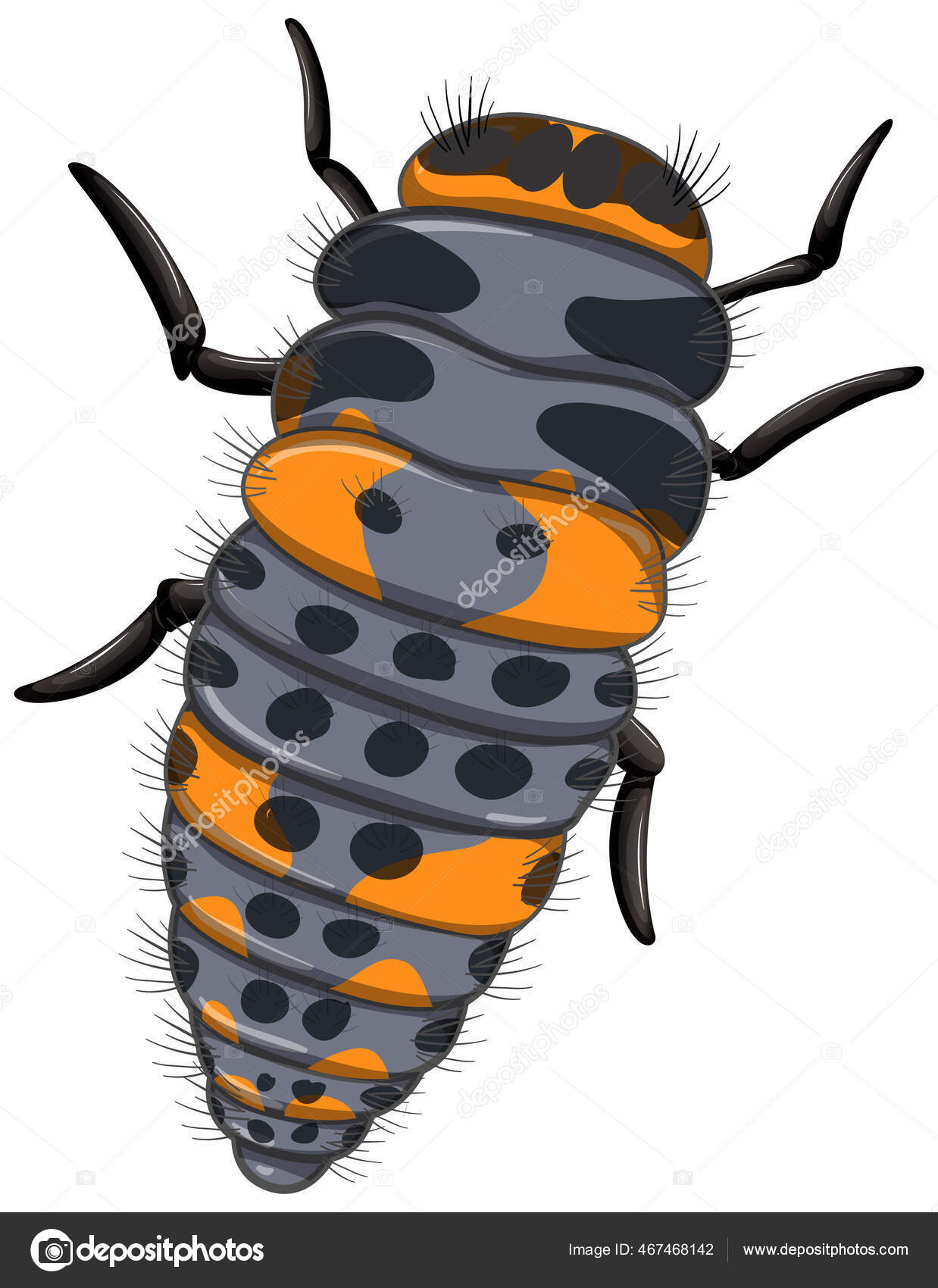 Ladybug Larva Stage White Background Illustration Stock Illustration by ...