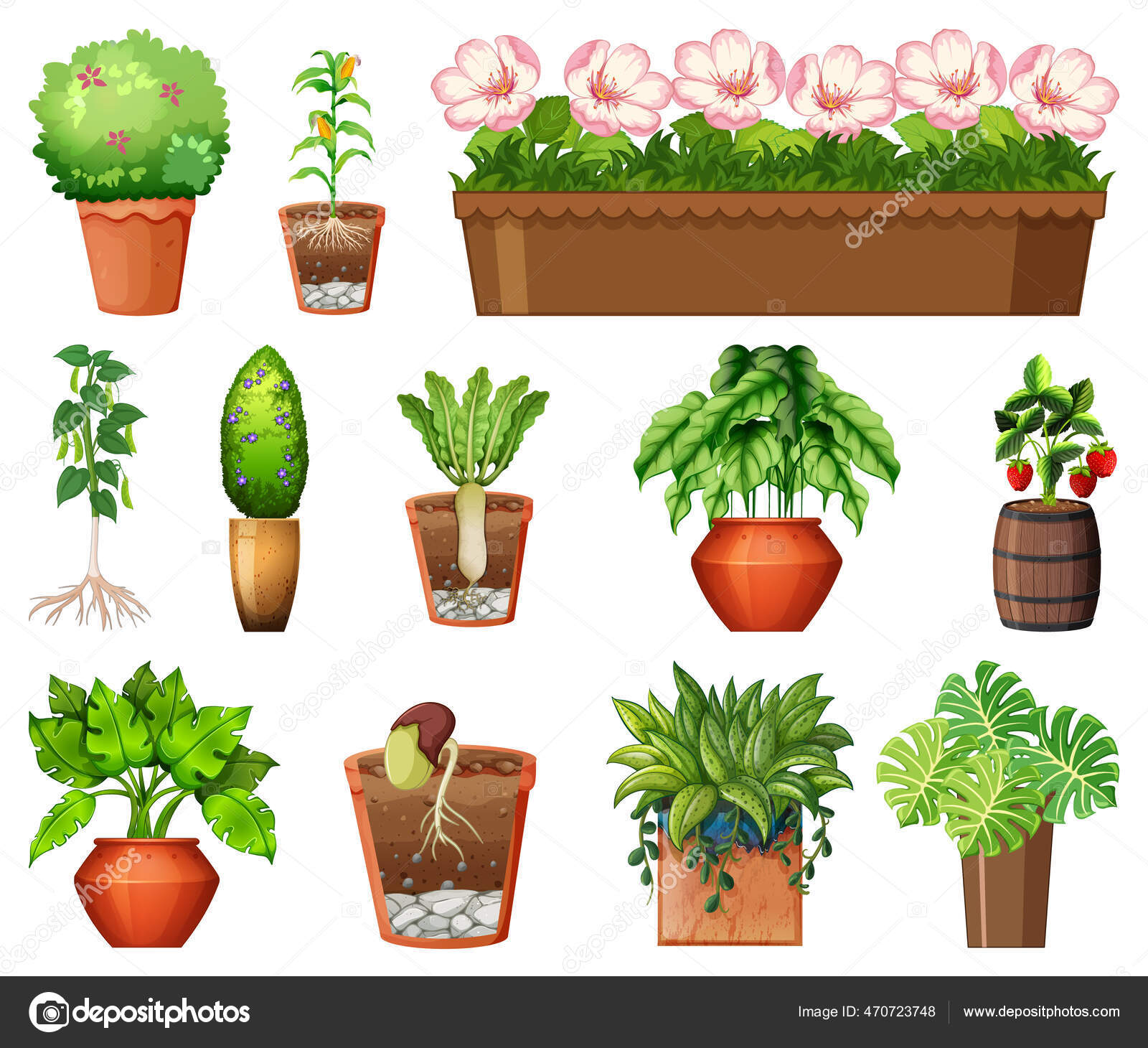 Set Different Plants Pots Isolated White Background Illustration Stock ...