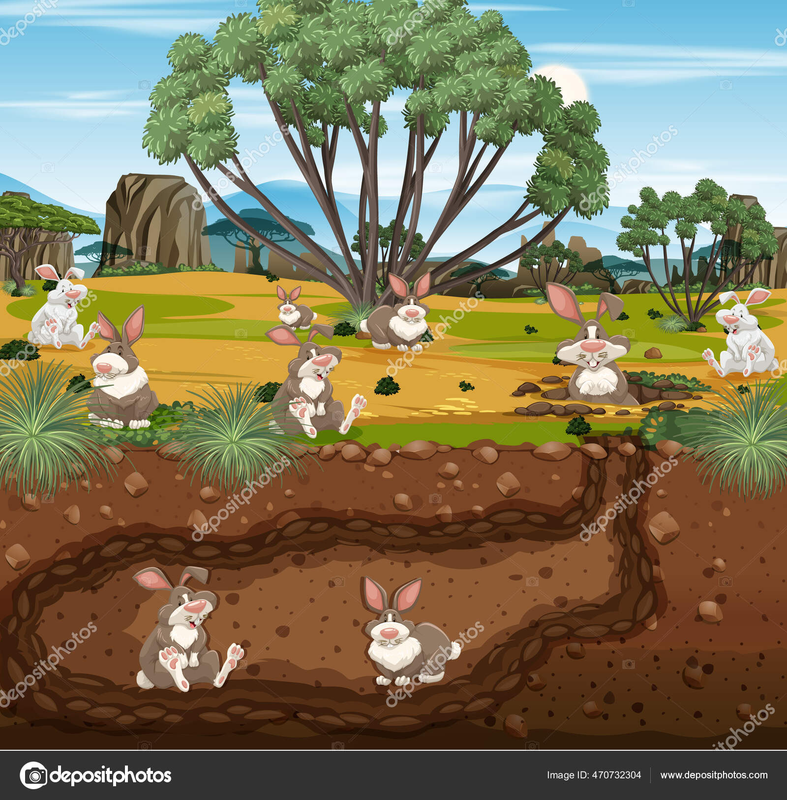 Rabbit Burrow Illustration